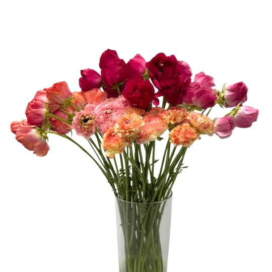 Flower Power - Home